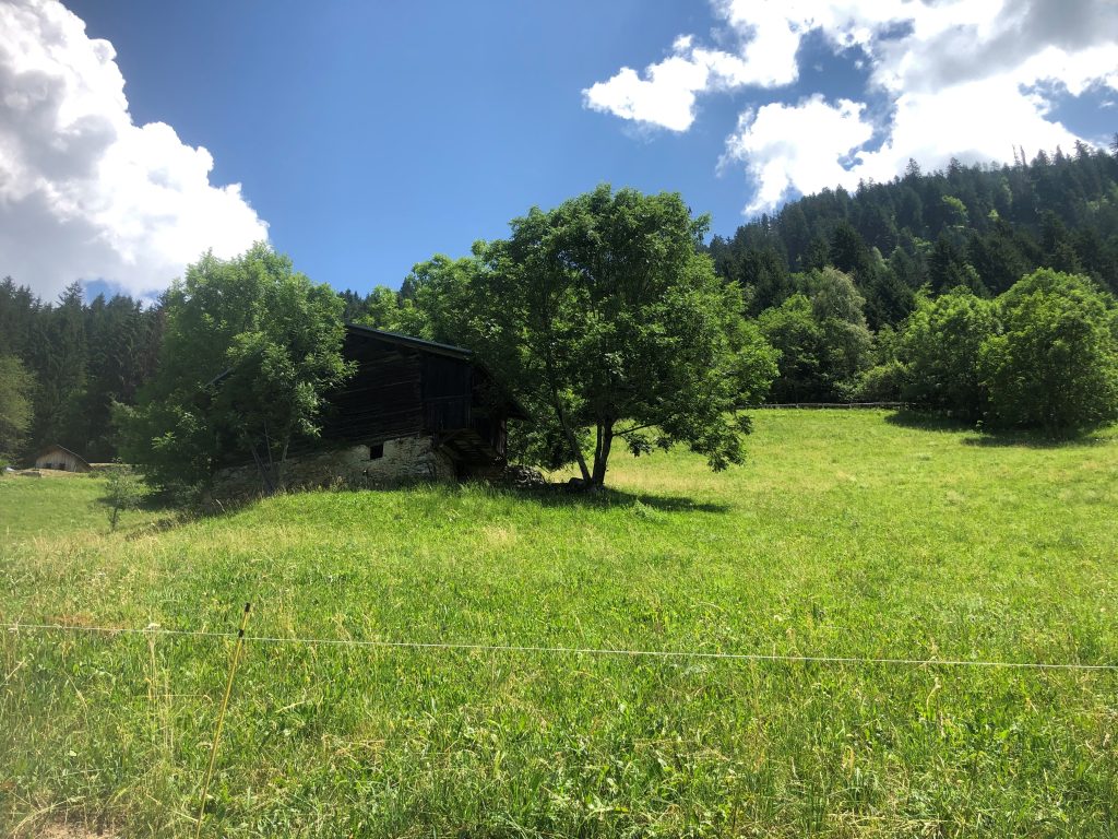 Réseau international d'avocats - GESICA, expertise juridique